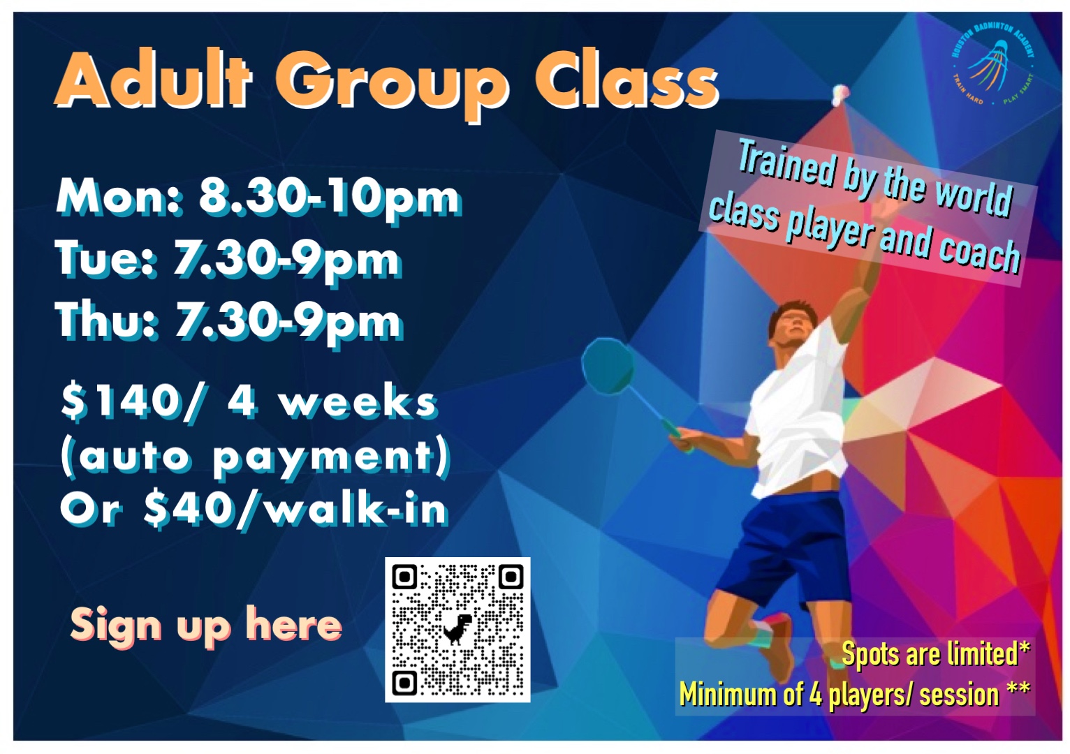 Adult Training Programs – Houston Badminton Academy
