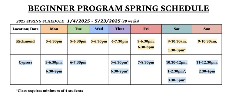Junior Programs – Houston Badminton Academy